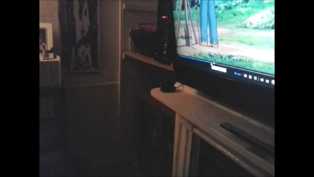 My Daughters reaction to the bath scene in My Neighbour Totoro - YouTube