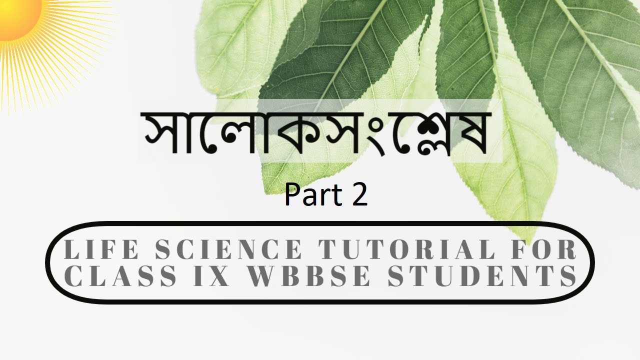 Photosynthesis Bengali Tutorial Part 2 Life Science photosynthesis-bengali-tutorial-part-2-life-science