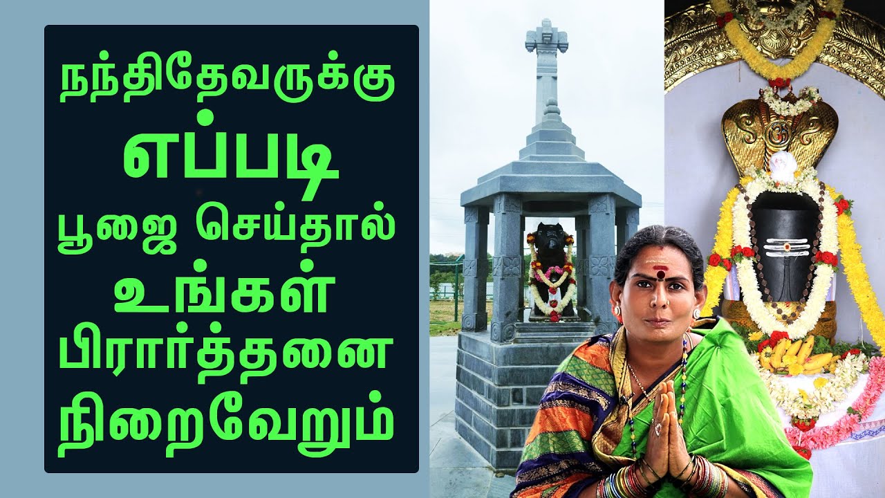 How do you pray to Nandi Deva | நந்திதேவருக்கு எப்படி பூஜை செய்தால் ...