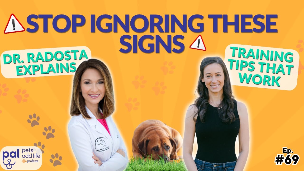 You Think Your Dog’s Happy—But These Signs Say Otherwise | Pets Add ...