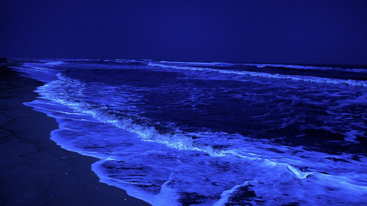 Night Ocean Sounds For Sleep and Close Your Eyes to Fall Asleep Quickly ...