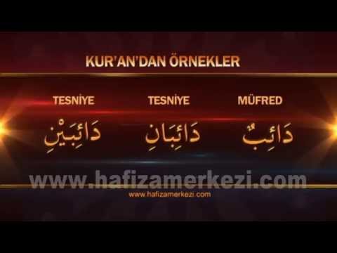 Arapça / Arapça Eğitimi / Sayısına Göre İsimler Uygulama Video - 1