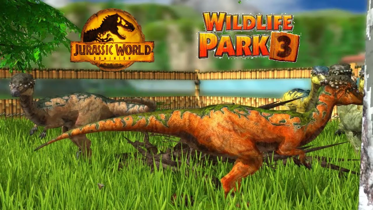 Wildlife Park 3 Pachycephalosaurus Gameplay HD - YouTube
