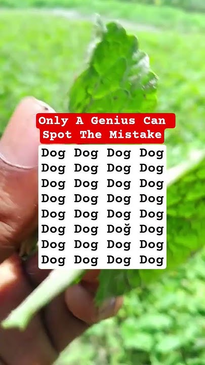 Only A Genius Can Spot The Mistake:Epi-832.Try Your Skills! #search #puzzle #shorts - YouTube