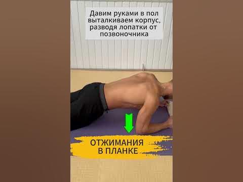 #отжимания #планка #умныйфитнес #здороваяосанка #красота - YouTube