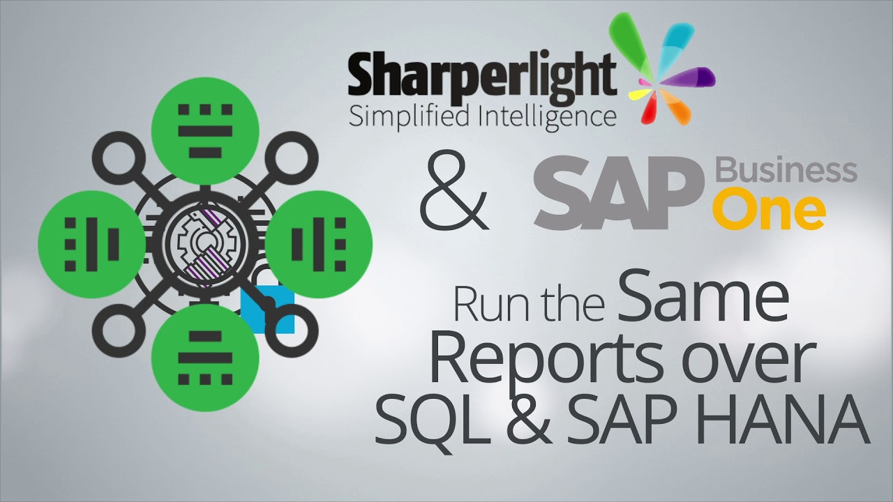 Gain greater business intelligence with Sharperlight for SAP Business ...