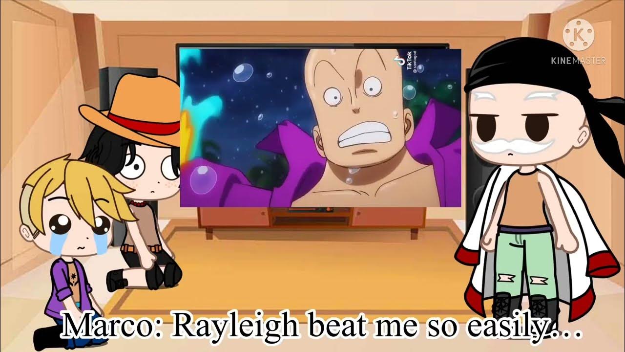 ꧁One Piece react to Luffy |One Piece friends react to Luffy || one ...