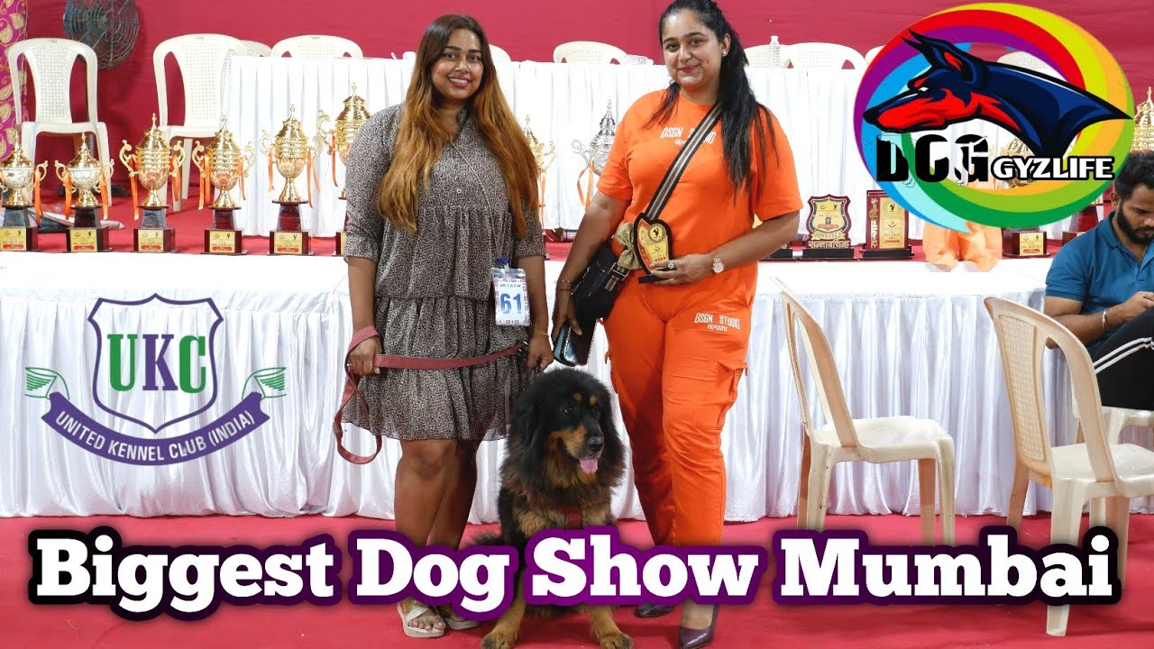MEGHA DOG SHOW MUMBAI | UKC NATIONAL DOG SHOW | LINE UP | DOGGYZLIFE ...