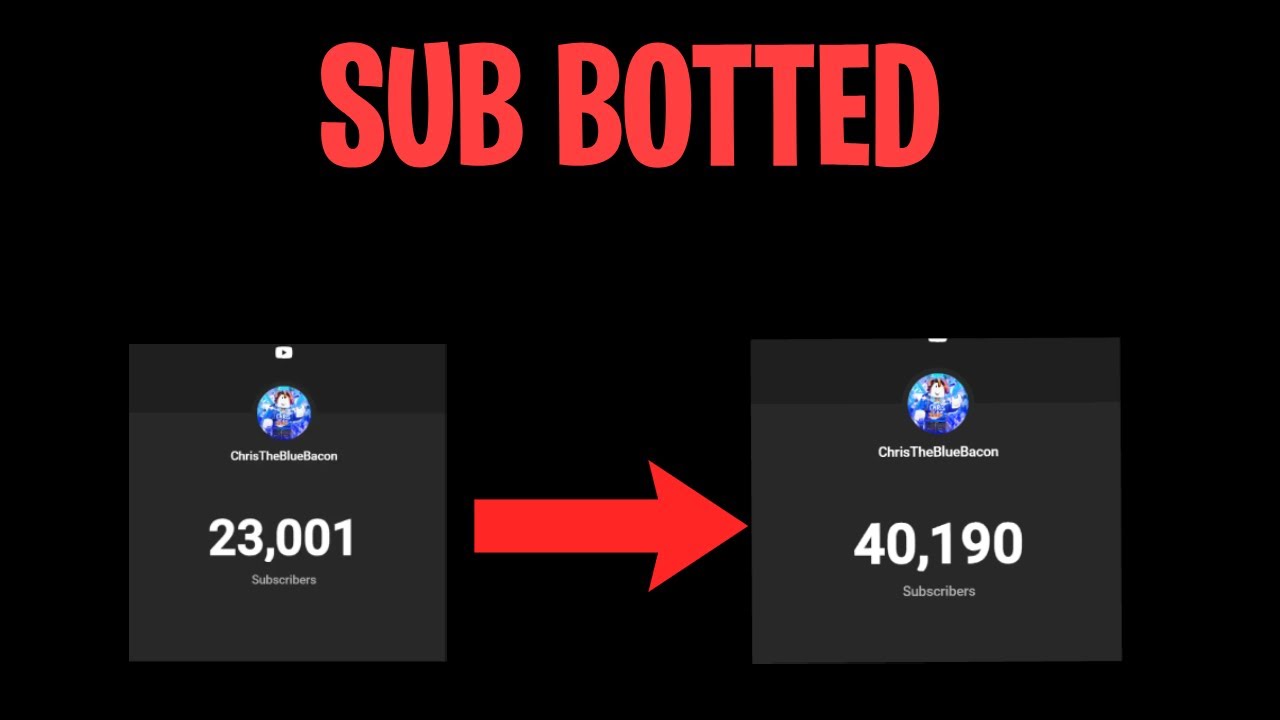 I GOT SUB BOTTED... - YouTube