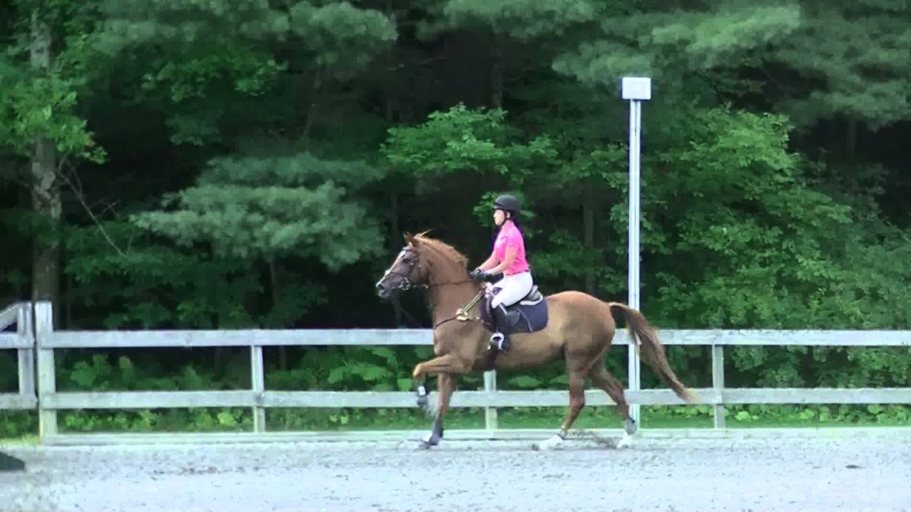 Milo Scott Keach 8/4/15 - YouTube