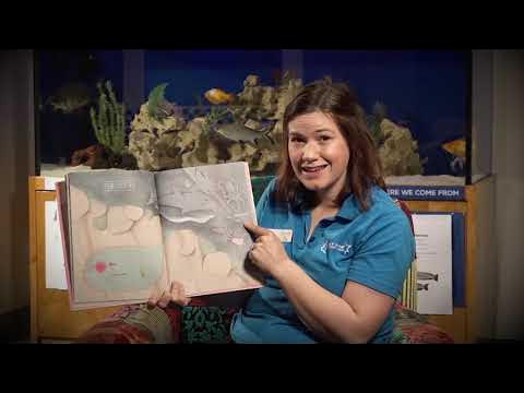 Book Week 2021: Anemone is not the enemy - YouTube