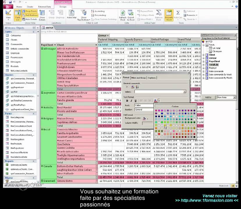 Access et les Tableaux croisés dynamique.mp4 - YouTube
