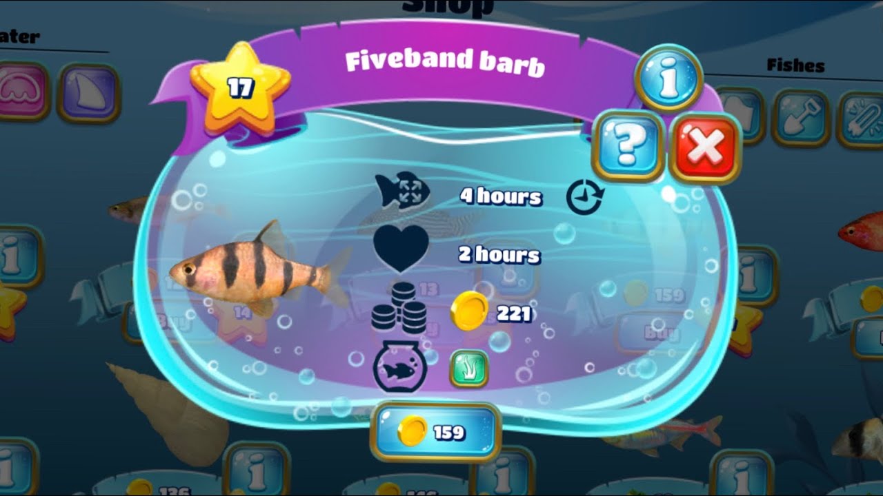 Fish Farm 3 - Fiveband Barb Shallow Run Gameplay - YouTube