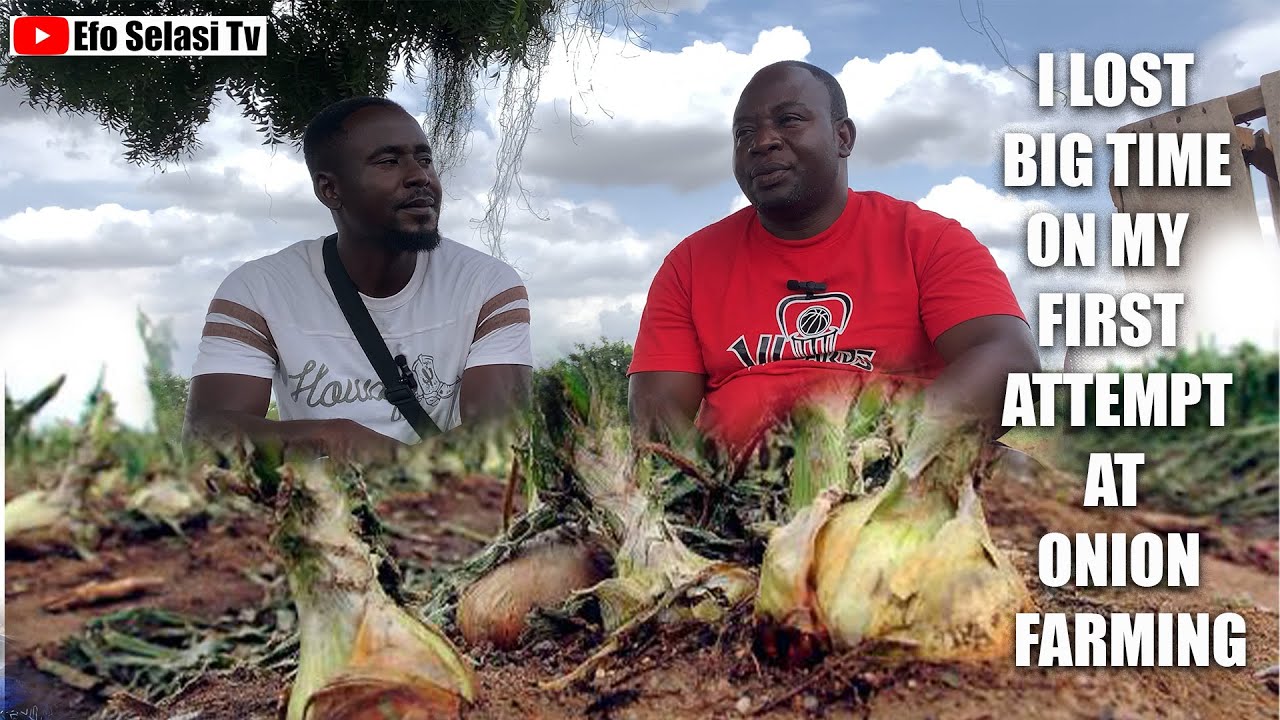 From Loss to Profit: The Journey of an Onion Farmer in Ghana | Farming ...