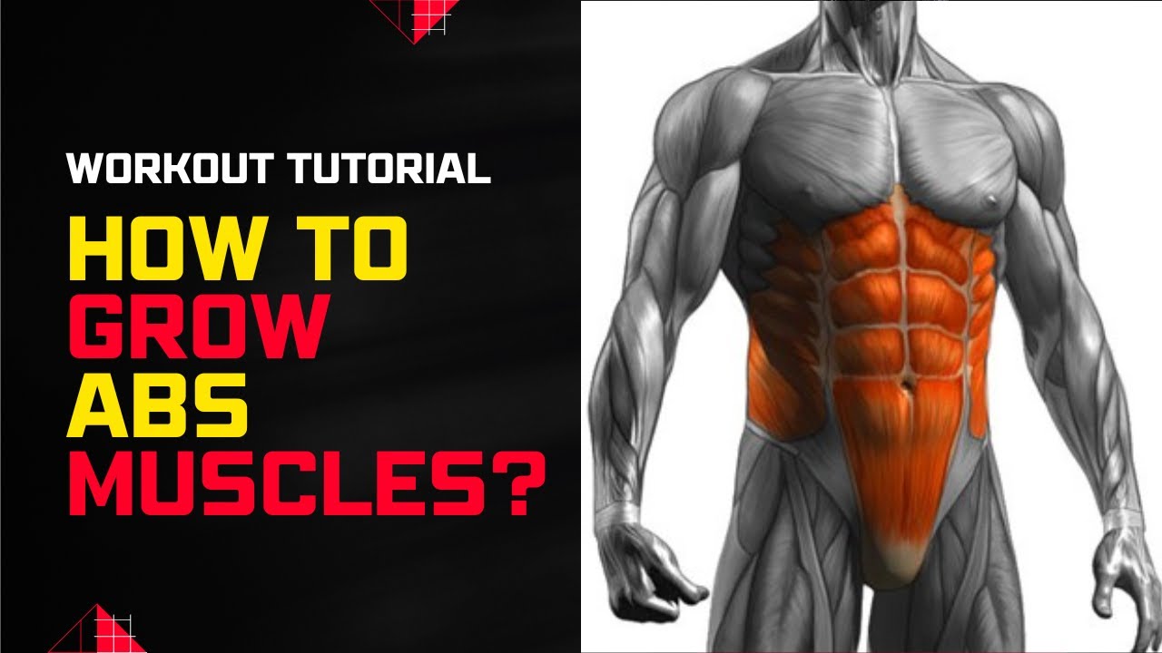 BEST 10 ABS EXERCISES Workout - YouTube