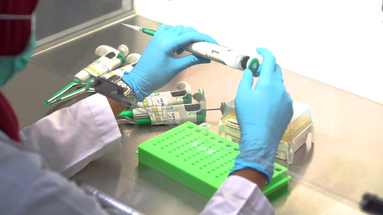 Prosedur Penggunaan Laminar Air Flow (LAF) - YouTube