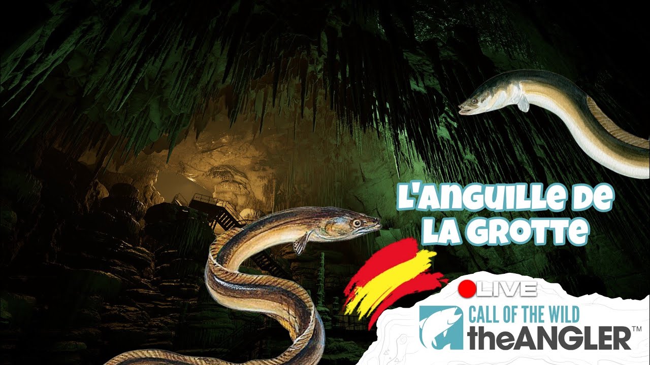 THE ANGLER COW L'Anguille de la Grotte Aguas Claras ( Espagne ) prt1 ...