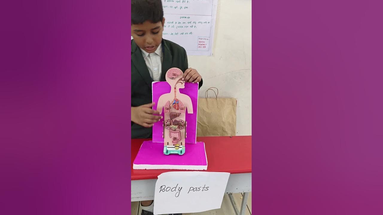 body parts science project - YouTube