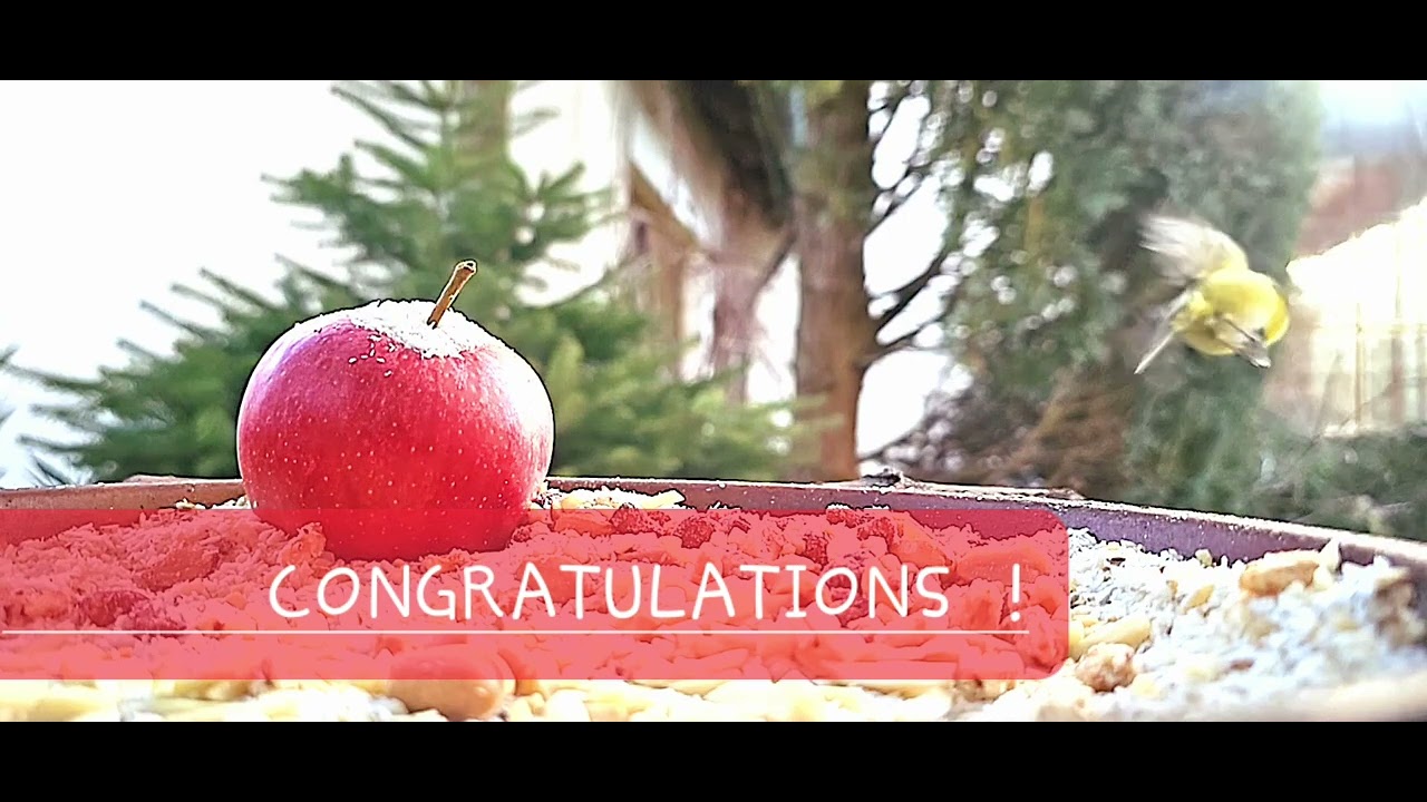 CONGRATULATIONS ! - YouTube