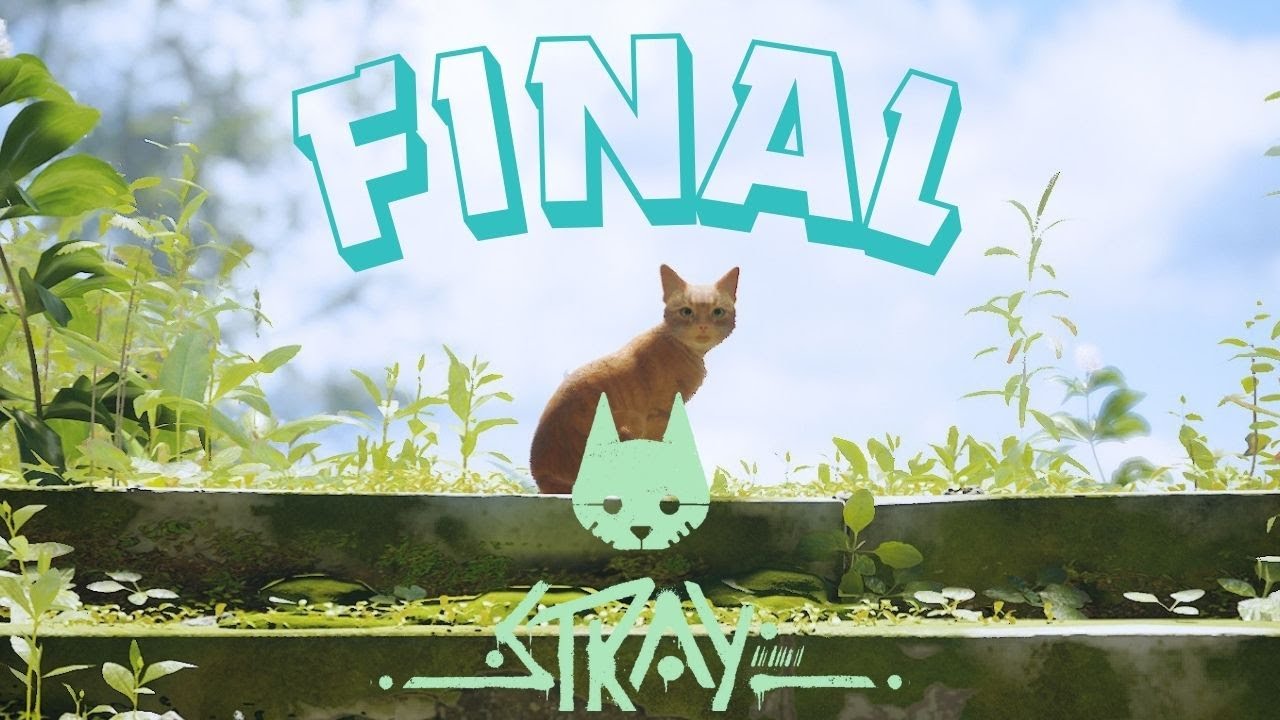 STRAY FINAL Abriendo las puertas de la ciudad. Se hizo la LUZ. - YouTube