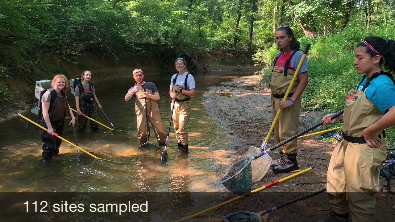 2019 Watershed Restoration Highlights - YouTube