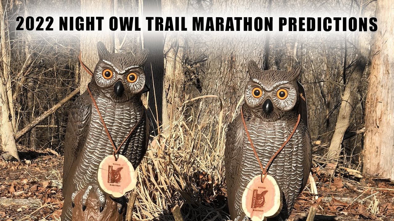 NIGHT OWL TRAIL MARATHON PREDICTIONS | 2022 - YouTube
