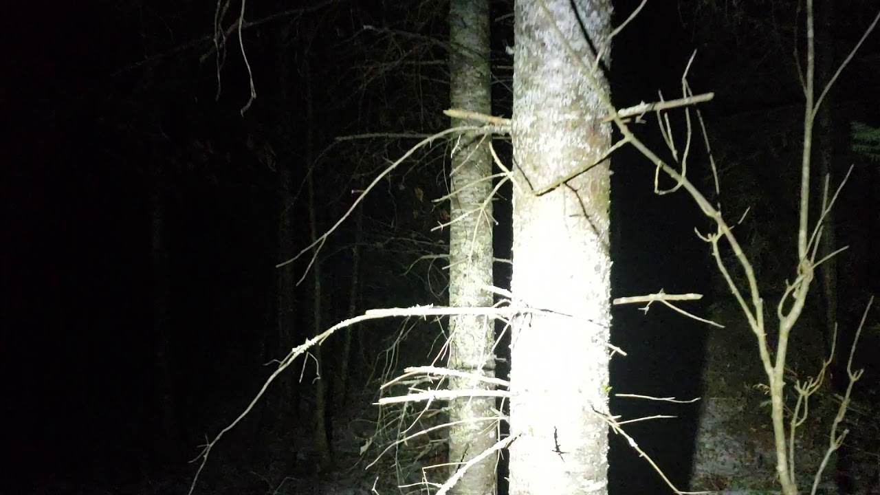 Sasquatching near Leech lake in Minnesota - YouTube