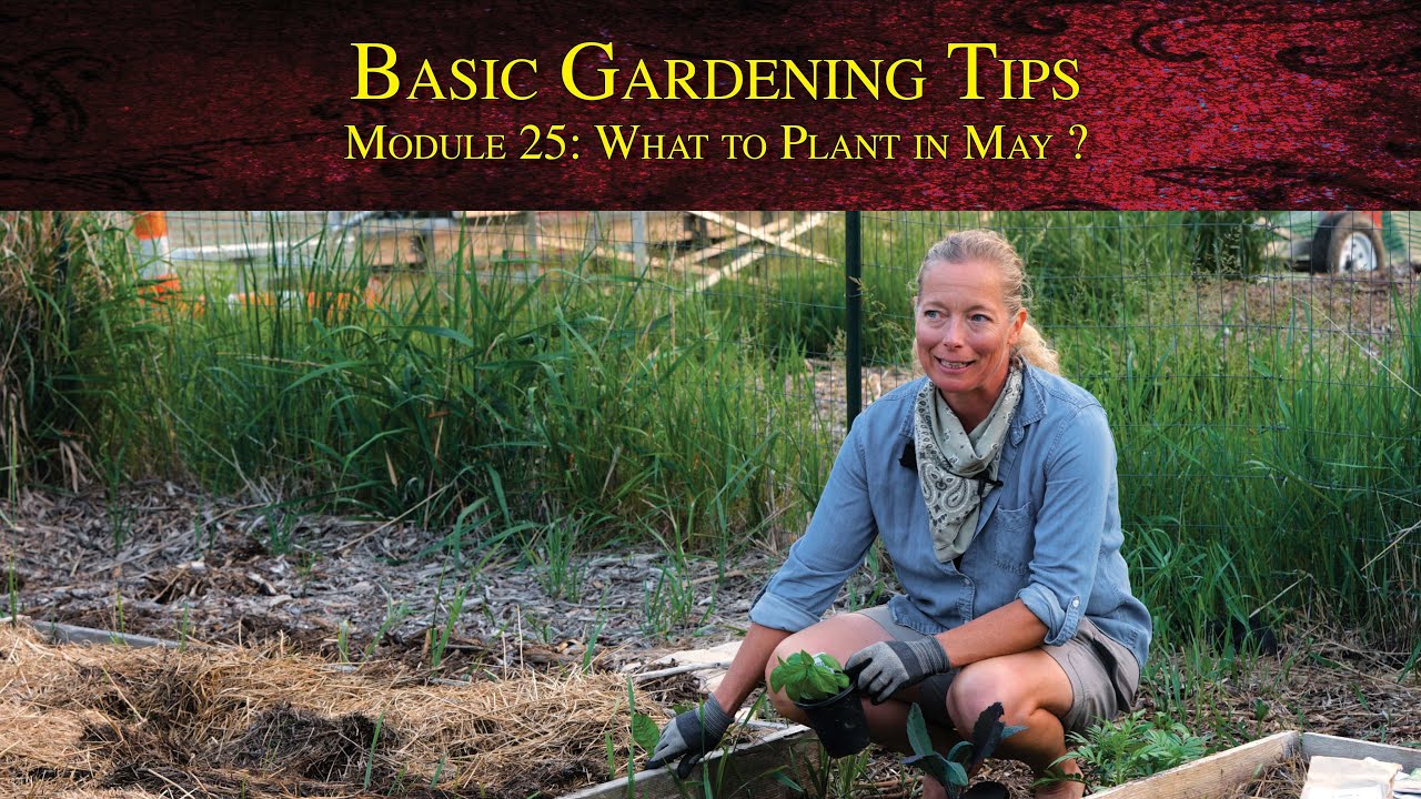Module 25: What to Plant in May in Southeast Iowa ? • Basic Gardening ...
