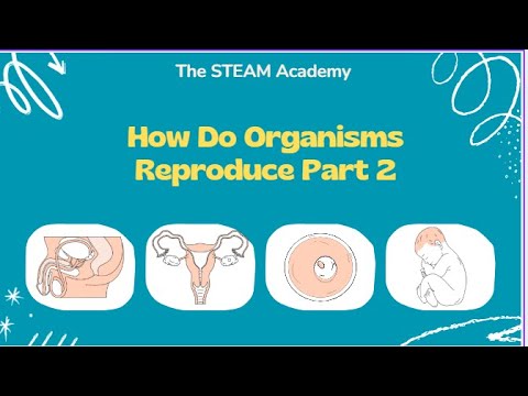 Class 10th SCIENCE How Do Organisms Reproduce Part 2 - YouTube