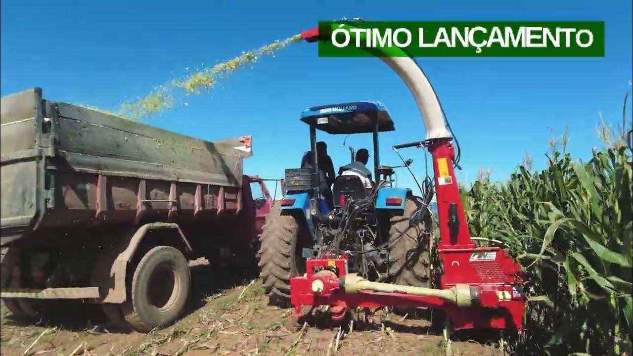 COLHEDORA ENSILADEIRA DE FORRAGENS DE ÁREA TOTAL - FTN 1000 NOGUEIRA - YouTube