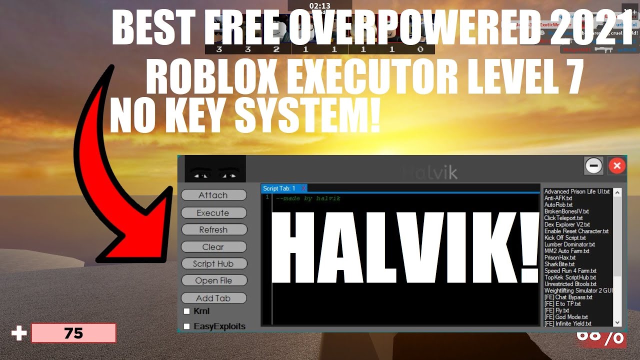 BEST FRRE ROBLOX INJECTOR (HALVIK!)🔥NO KEYS/OWLHUB SUPPORT🔥(2021) - YouTube