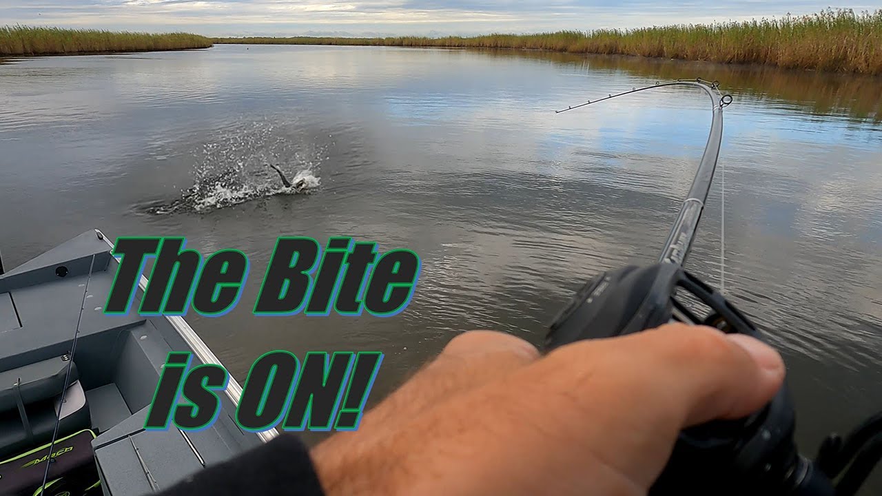 Sabine River and Blacks Bayou Fishing - YouTube