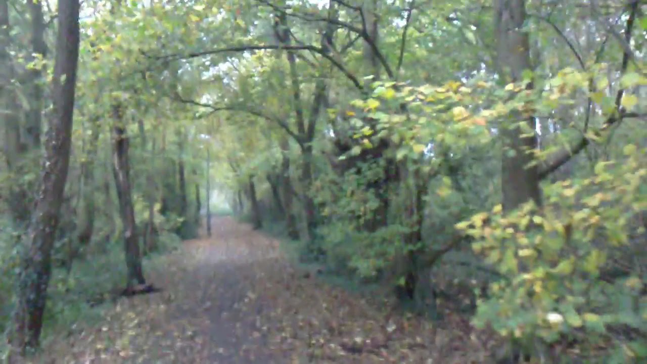 Frankley - Rea Valley Route - YouTube