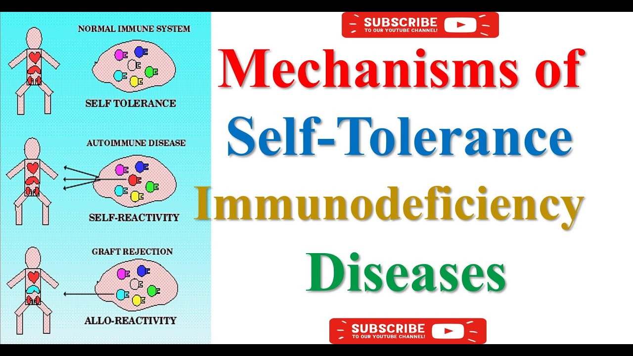 #Mechanisms of #Self‑Tolerance #Immunodeficiency #Diseases – #Clinical ...