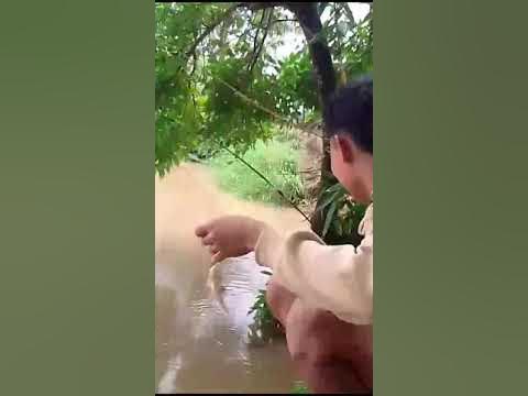 Mancing sidat saat air sungai banjir ,yang dapat lain lagi - YouTube