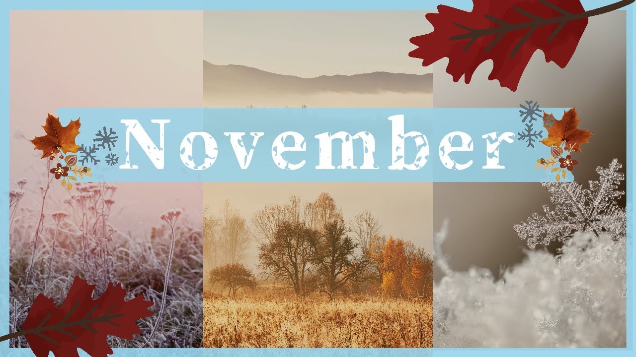 Was kommt alles im🍂November?! - YouTube
