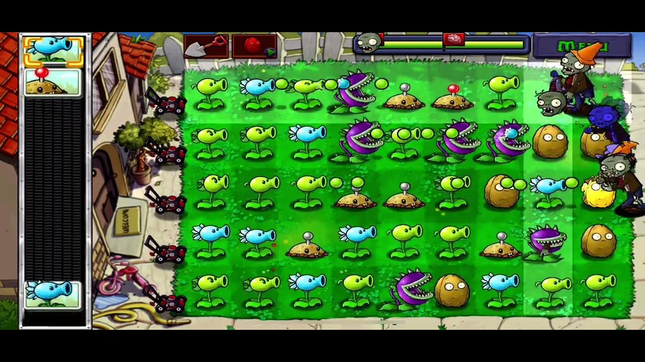 Defending My house from Zombies . Plant vs Zombies 2009 - YouTube