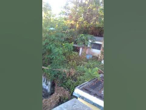 Bokep kubur - YouTube