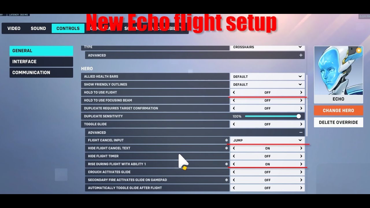 New Echo flight input settings - YouTube