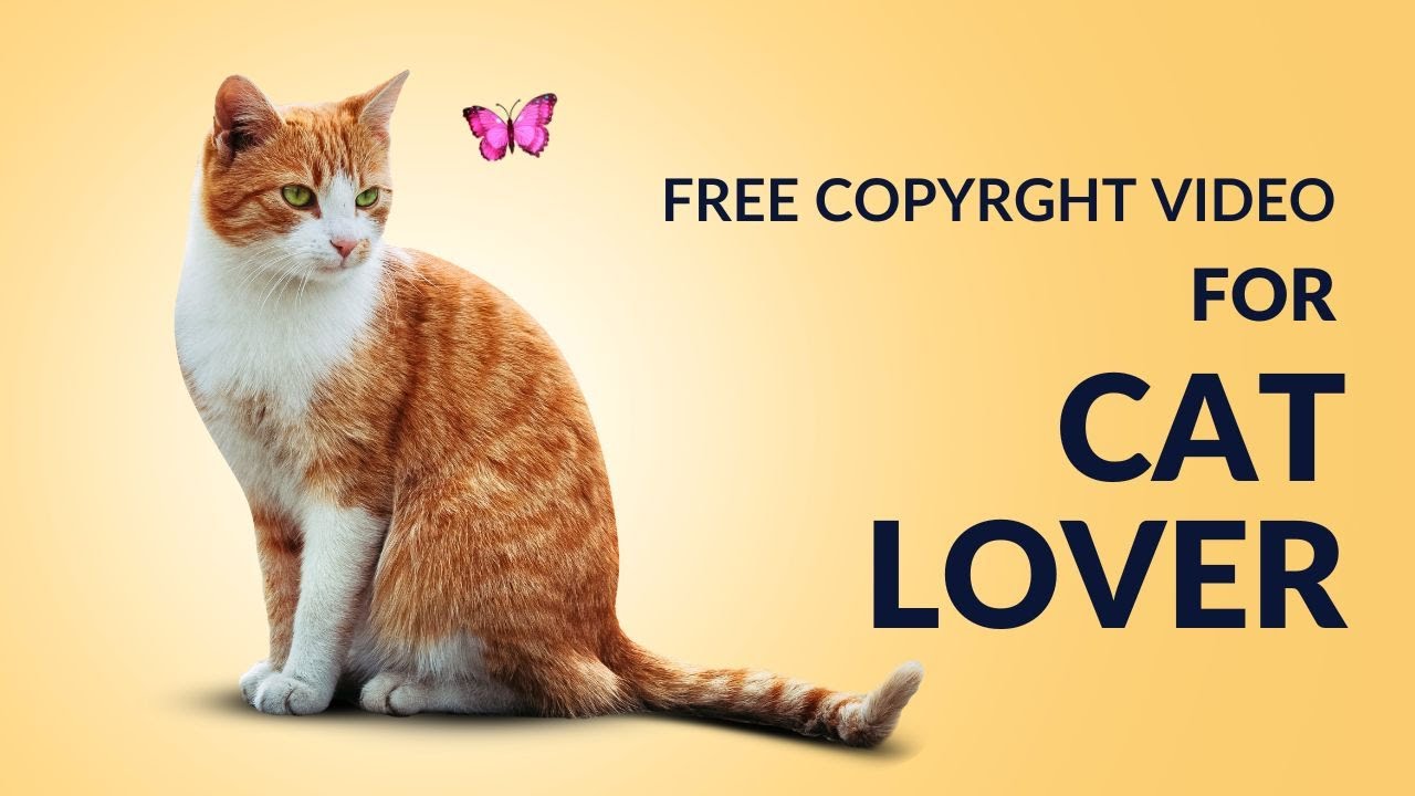 Purrfectly Adorable Cats Compilation - Free Copyright Videos for Cat ...