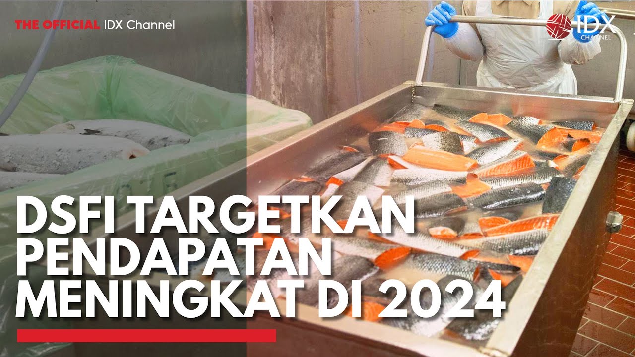 DSFI Targetkan Pendapatan Meningkat di 2024 | IDX CHANNEL - YouTube
