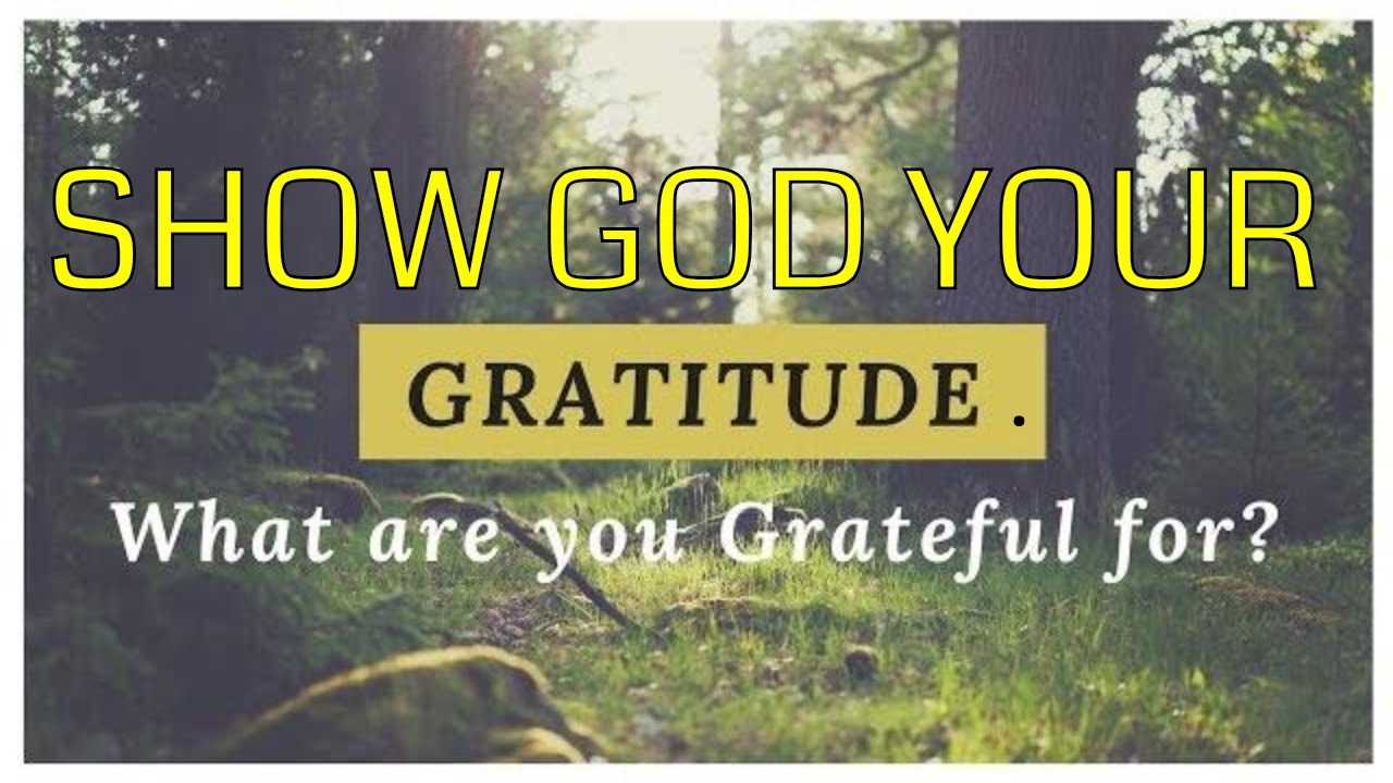 Gratitude: What are you Grateful for? *Gratitud: ¿Por qué estás ...