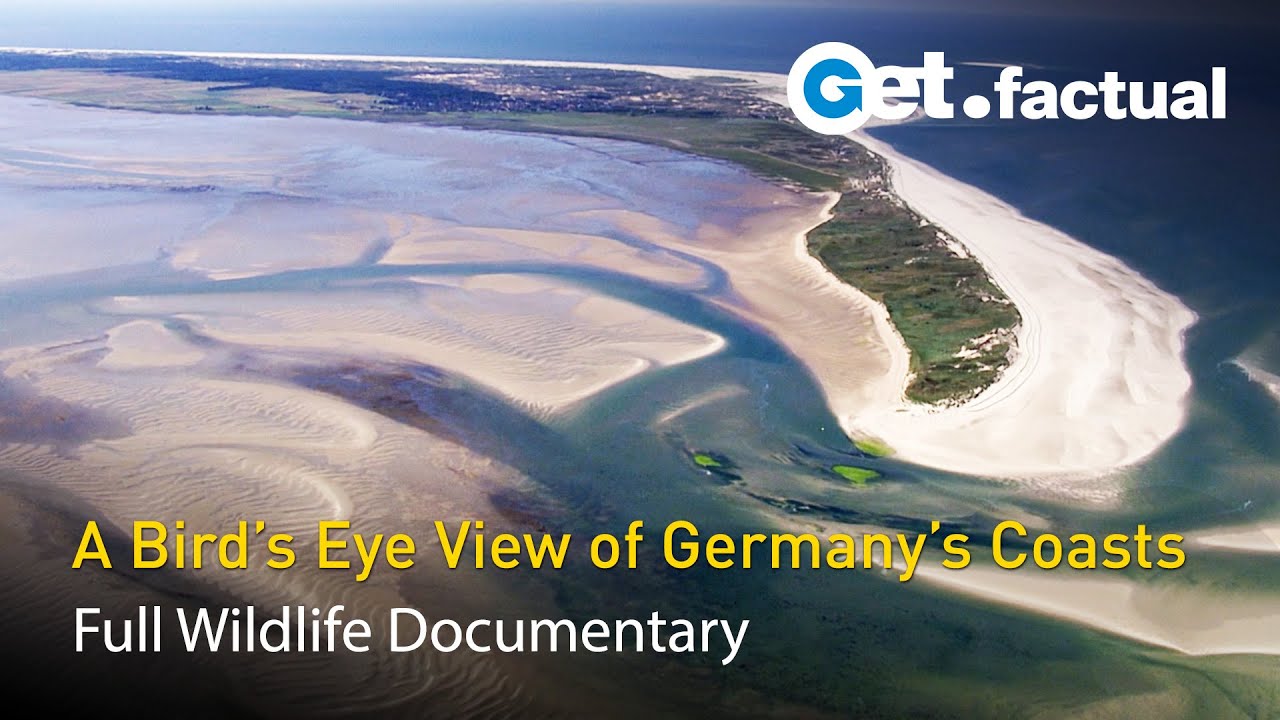 Wild Germany - The North and Baltic Sea Coastlines | Full Documentary ...