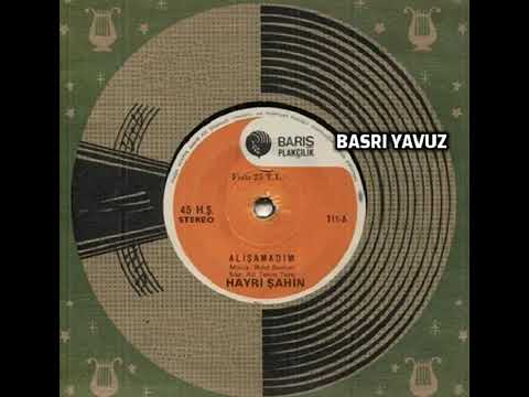 HAYRİ ŞAHİN ''Alışamadım'' Orjinal 45'Lik Plak