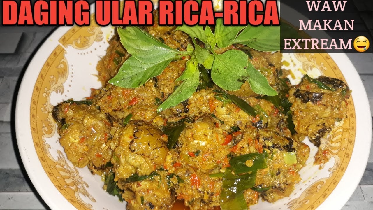 #MASAK EXTREAM#DAGING ULAR RICA-RICA# - YouTube