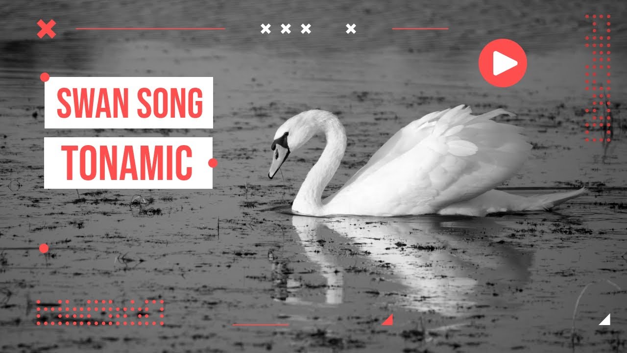 Swan Song - A polyphony of transcendence - YouTube