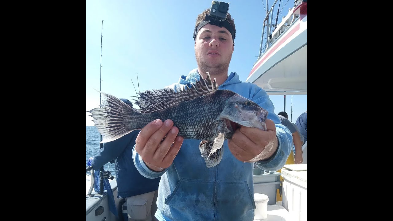 Laura lee Express Black Sea Bass SLAM (Captree NY) - YouTube