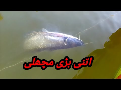 mangle Dam video fishing video - YouTube