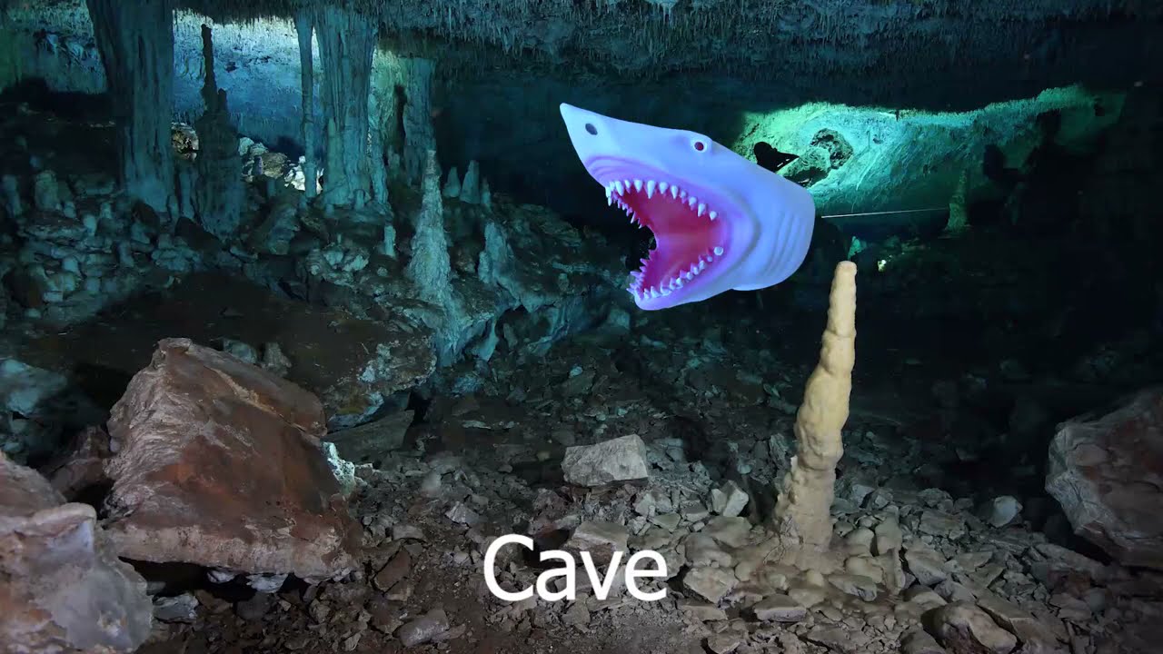 25 Puppet Shark Screaming Sound Variations in 30 Seconds # ...