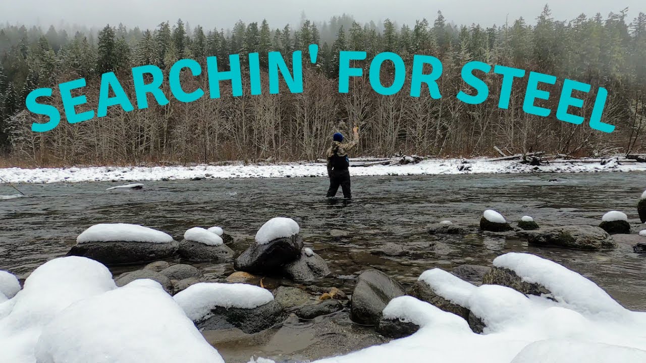 The SEARCH for STEEL continues (Washington State Winter Steelhead ...